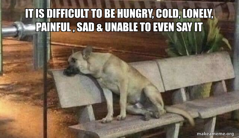 IT IS DIFFICULT TO BE HUNGRY, COLD, LONELY, PAINFUL , SAD & UNABLE TO ...