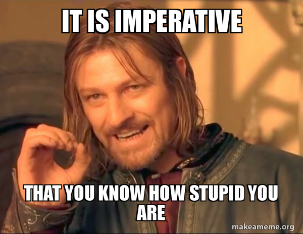 it is imperative that you know how stupid you are - One Does Not Simply ...