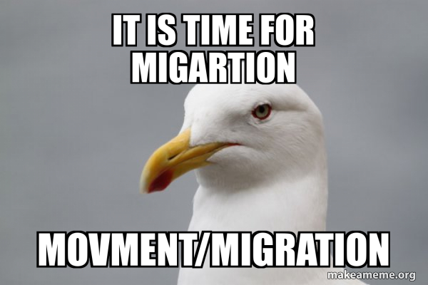 It is time for migartion Movment/Migration - Stuff That Didn't Happen ...
