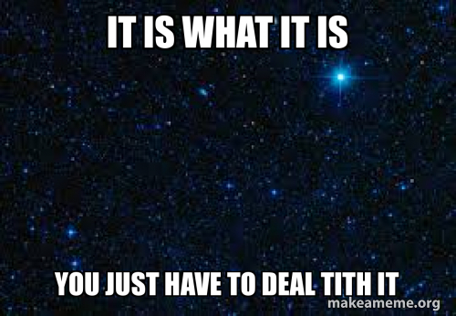 it is what it is you just have to deal tith it Meme Generator