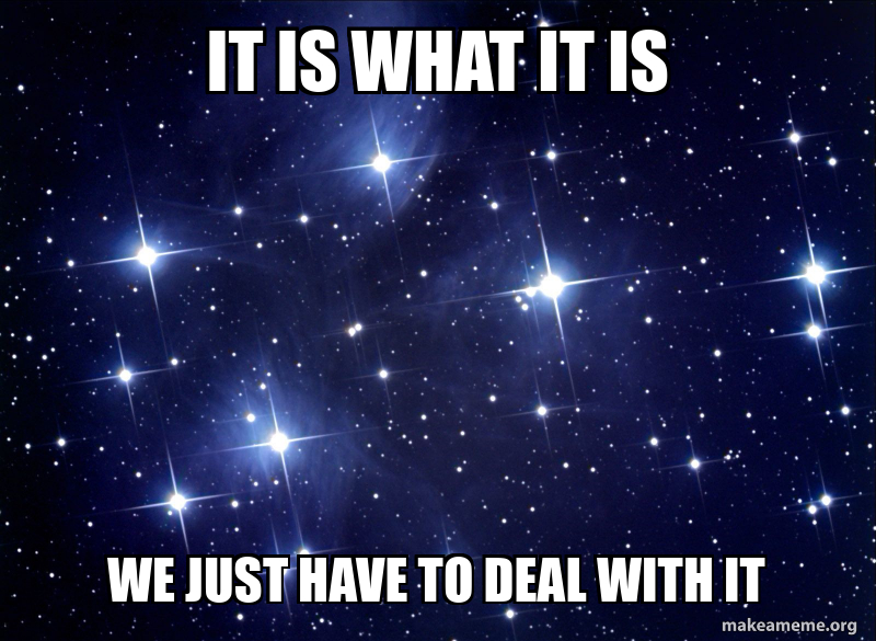 it is what it is we just have to deal with it Meme Generator