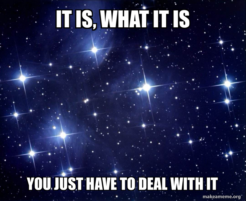 it is, what it is you just have to deal with it Meme Generator