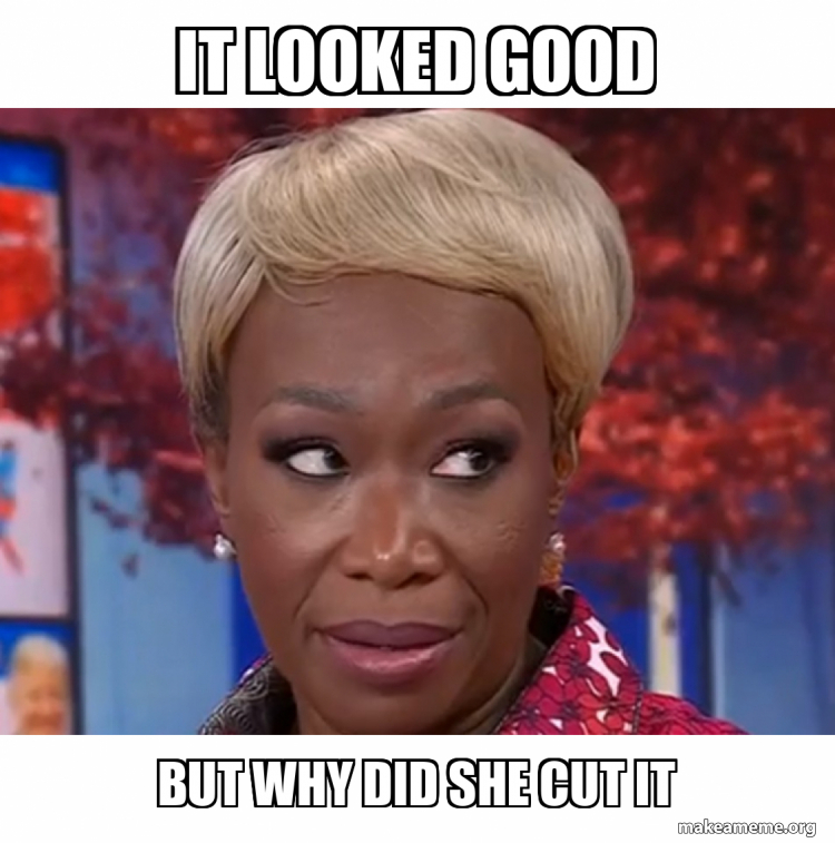 IT LOOKED GOOD BUT WHY DID SHE CUT IT Meme Generator