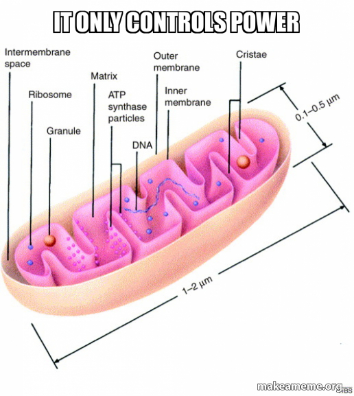 it only controls power Meme Generator
