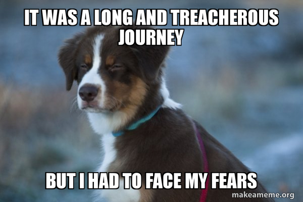 It was a long and treacherous journey but I had to face my fears ...