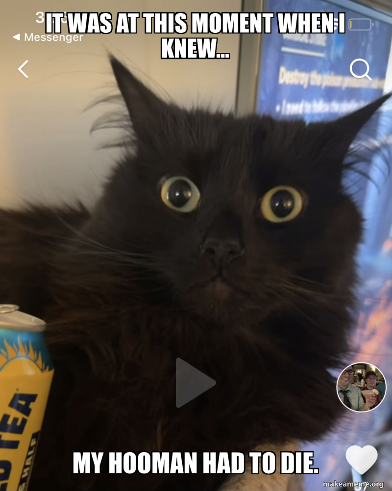 It was at this moment when i knew… My Hooman had to die. Meme Generator