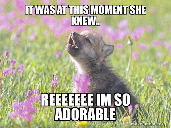 It was at this moment she knew.. REEEEEEE IM SO ADORABLE - Baby ...