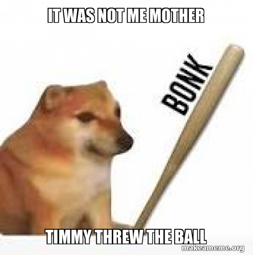 It was not me mother Timmy threw the ball Meme Generator