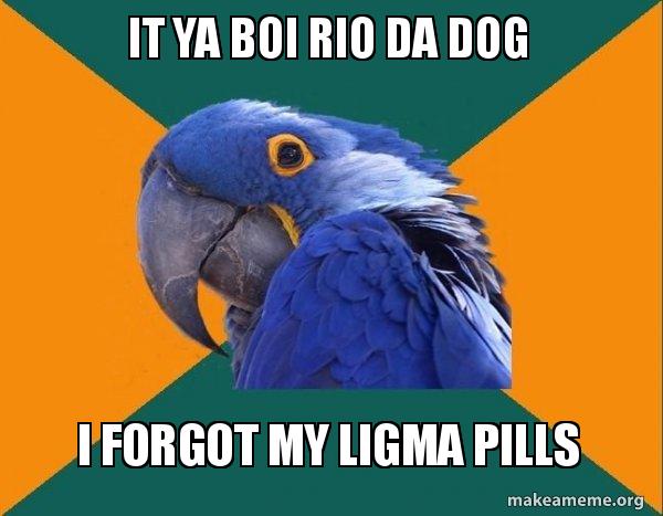It ya boi rio da dog I forgot my Ligma pills - Paranoid Parrot Meme ...