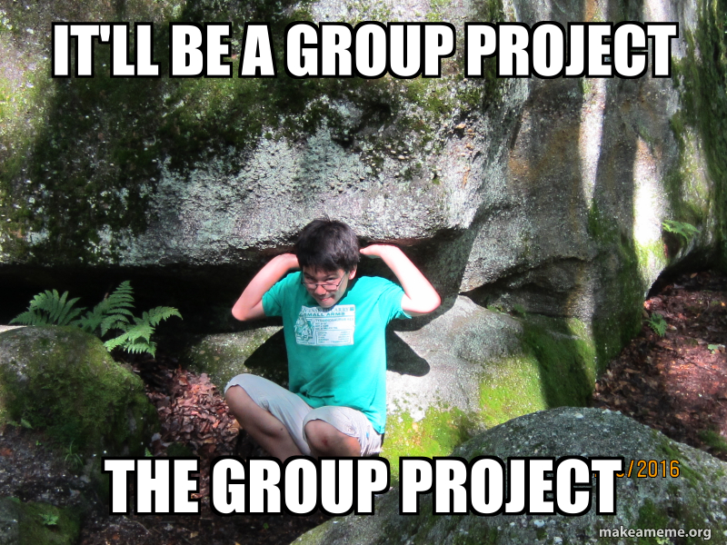 It'll be a group project The group project Meme Generator