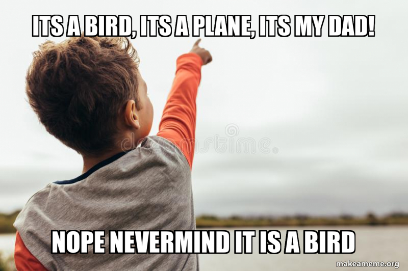 Its a bird, its a plane, its my dad! nope nevermind it is a bird Meme ...
