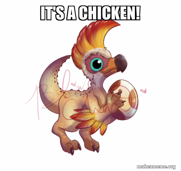 It's a chicken! Meme Generator