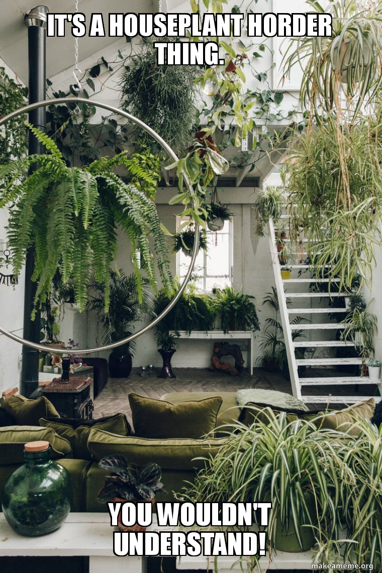 It's a houseplant horder thing. You wouldn't understand! Meme Generator