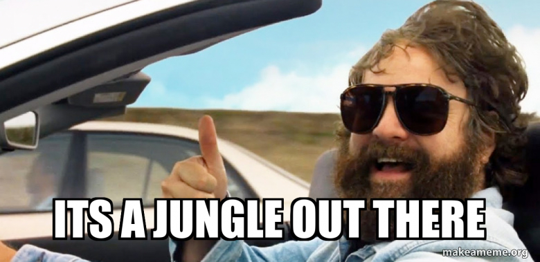 ITS A JUNGLE OUT THERE Meme Generator
