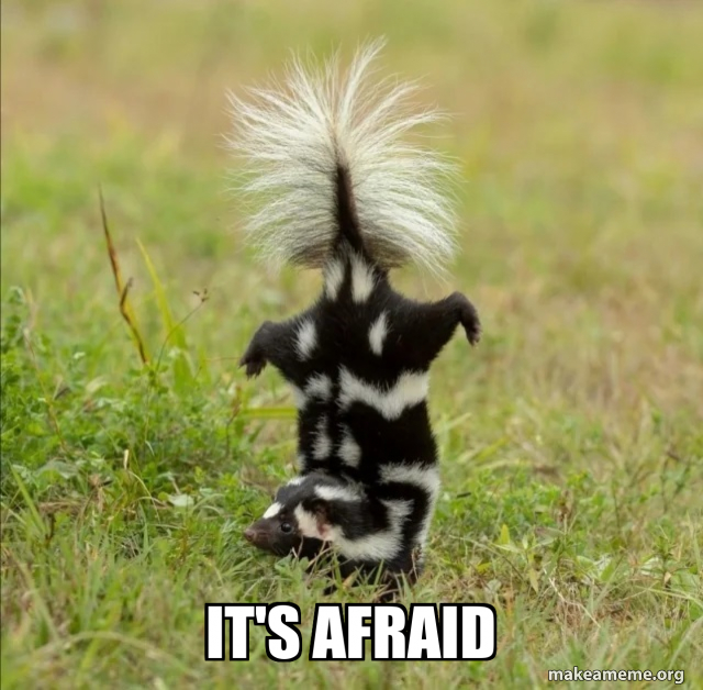 IT'S Afraid Meme Generator