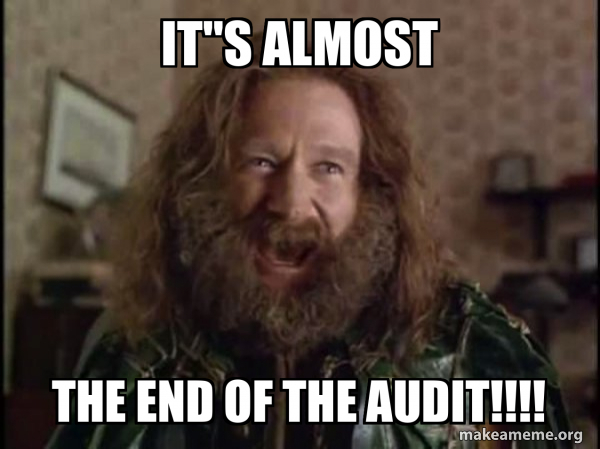 IT"S ALMOST THE END OF THE AUDIT!!!! - Robin Williams - What year is it ...