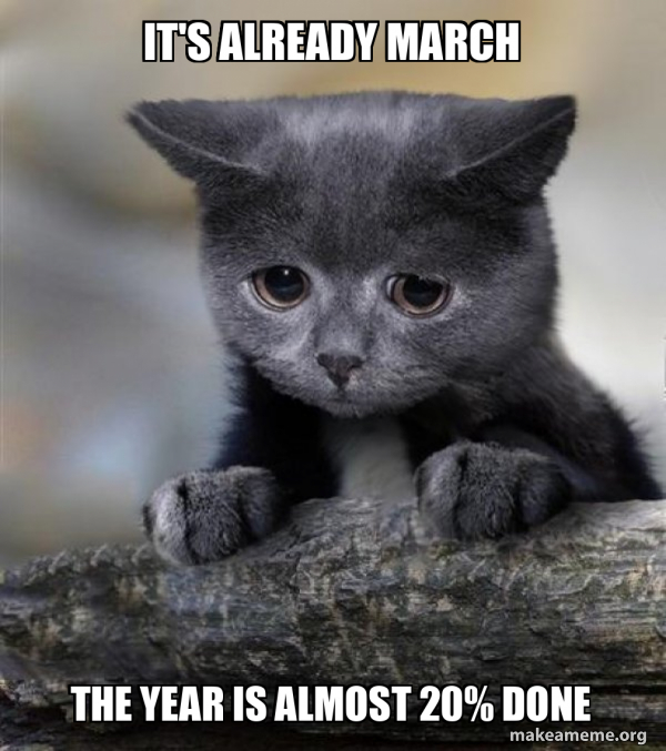 IT'S ALREADY MARCH THE YEAR IS ALMOST 20% DONE - Confession Cat Meme ...