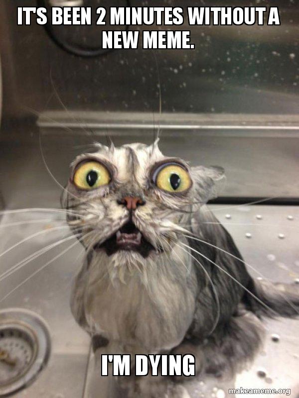 Dying Memes
