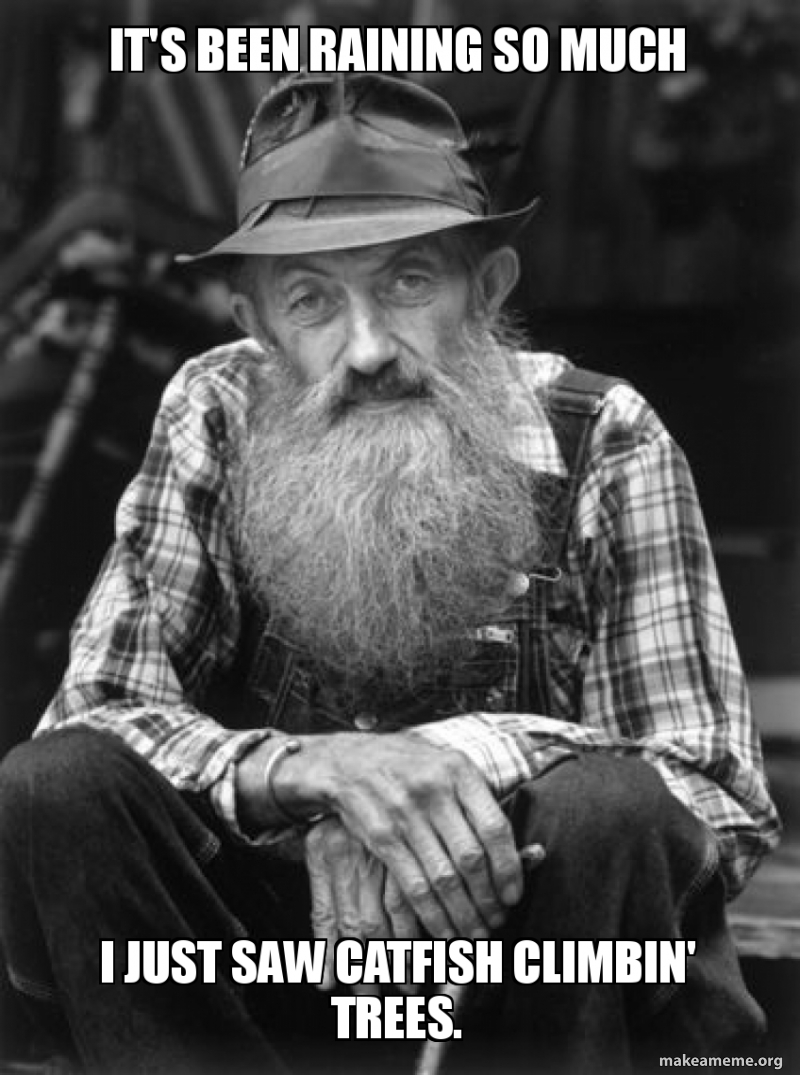 it's been raining so much i just saw catfish climbin' trees. Meme Generator