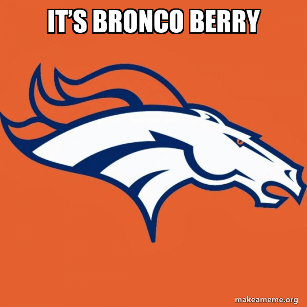 Itâ€™s Bronco Berry - Denver Broncos Meme Generator