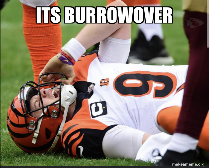 Its Burrowover Meme Generator