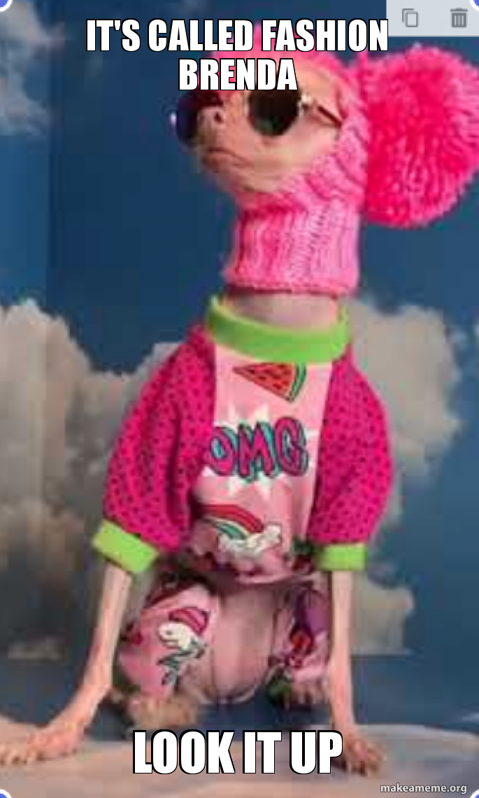 it's called fashion brenda look it up Meme Generator
