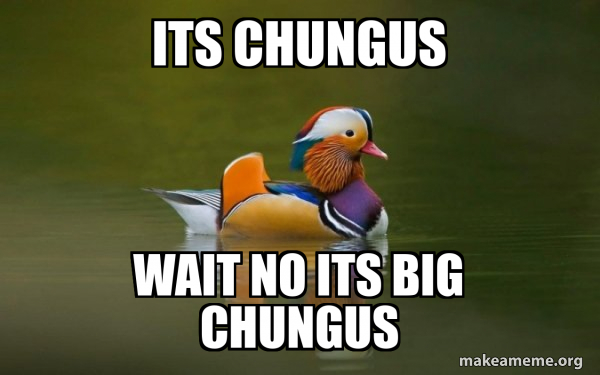 Its chungus wait no its big chungus - Fashionable Advice Mallard Meme ...