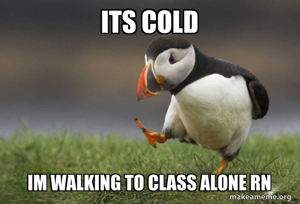its cold im walking to class alone rn - Unpopular Opinion Puffin Meme ...