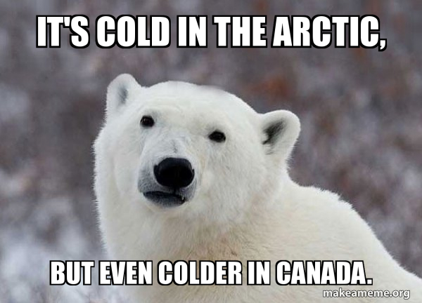 IT'S COLD IN THE ARCTIC, BUT EVEN COLDER IN CANADA. - Popular Opinion ...