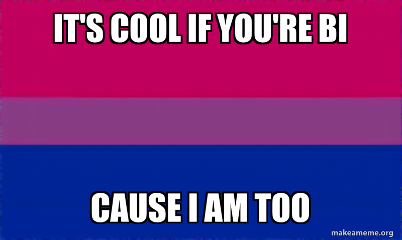 IT'S COOL IF YOU'RE BI Cause i am too Meme Generator