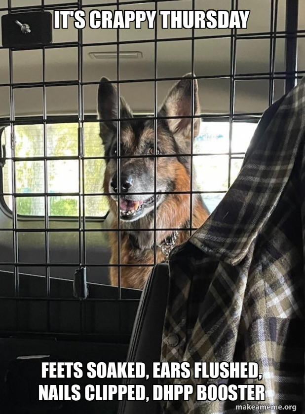 IT'S CRAPPY THURSDAY FEETS SOAKED, EARS FLUSHED, NAILS CLIPPED, DHPP ...