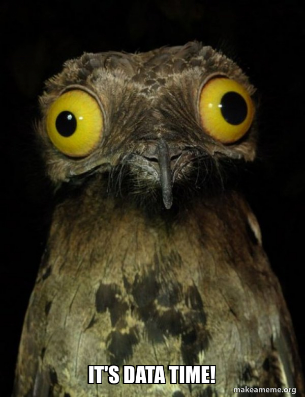 it's data time! - Weird Stuff I do Potoo Meme Generator