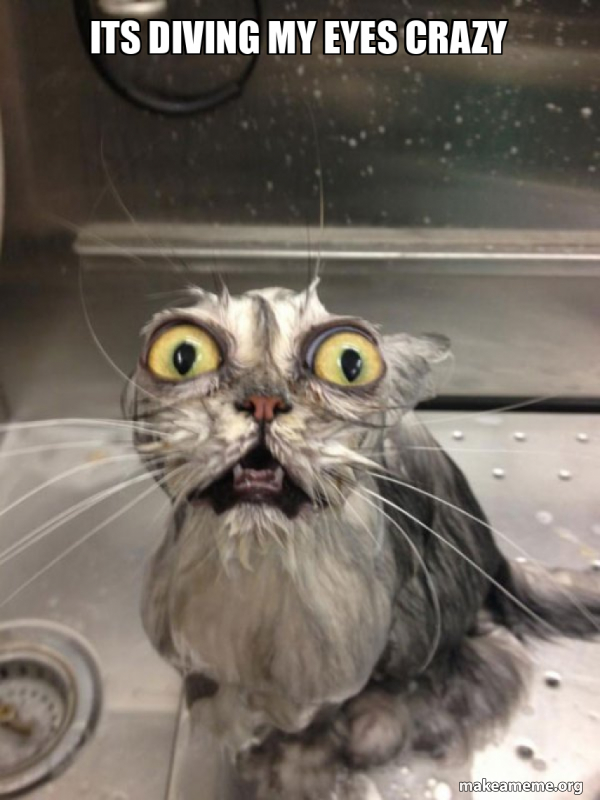 Its diving my eyes crazy - Cat bath Meme Generator