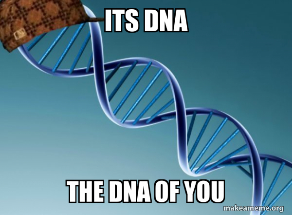 its dna the dna of you - Scumbag Genetics Meme Generator