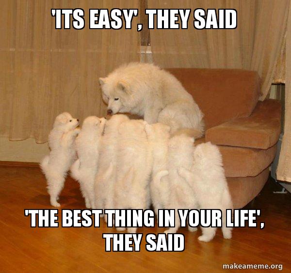'its easy', they said 'the best thing in your life', they said ...