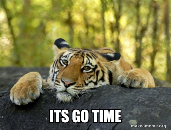 its go time - Confession Tiger Meme Generator