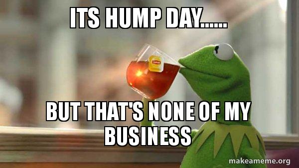 Kermit Hump Day Memes Happy Hump Day 🤷♀🤣 | Facebook