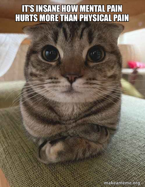 It's insane how mental pain hurts more than Physical pain Meme Generator