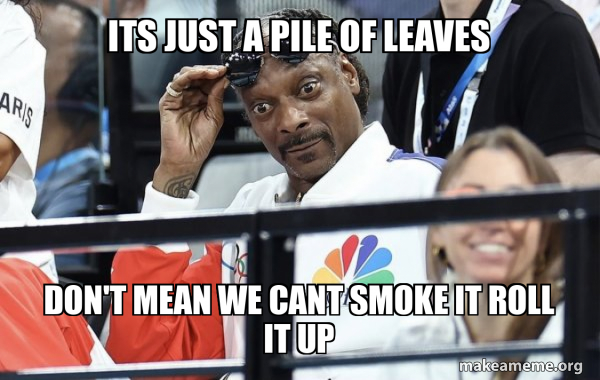 its just a pile of leaves don't mean we cant smoke it roll it up ...