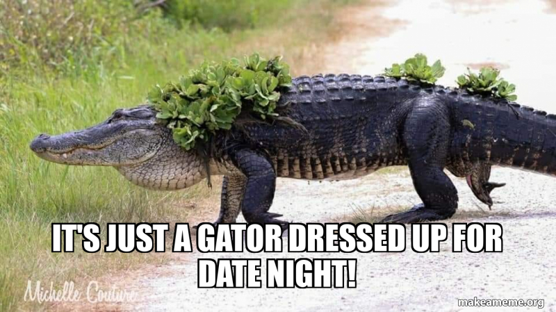 it's just a Gator dressed up for date night! Meme Generator