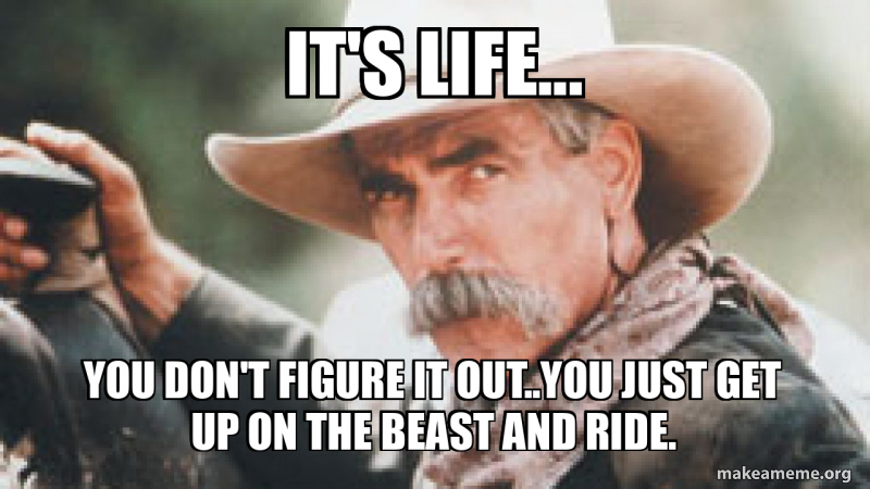 It's life... You don't figure it out..you just get up on the beast and ...