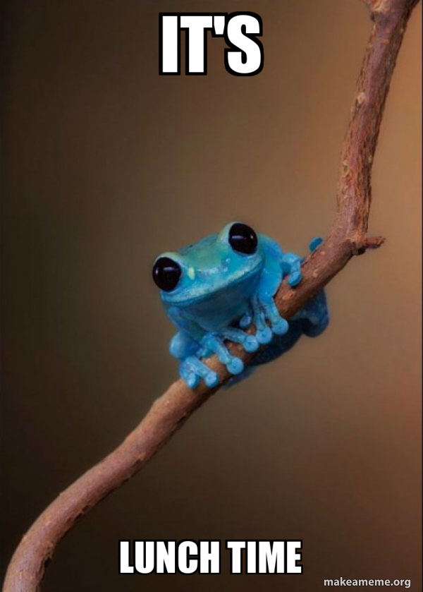 It's LUNCH TIME - Small Fact Frog Meme Generator