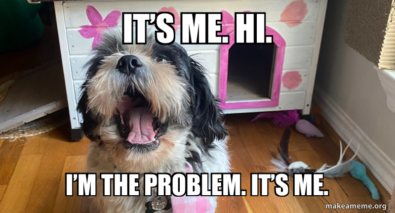 It’s me. Hi. I’m the problem. It’s me. Meme Generator
