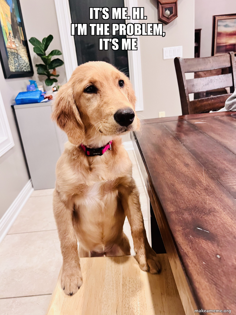 It’s me. Hi. I’m the problem, it’s me Meme Generator