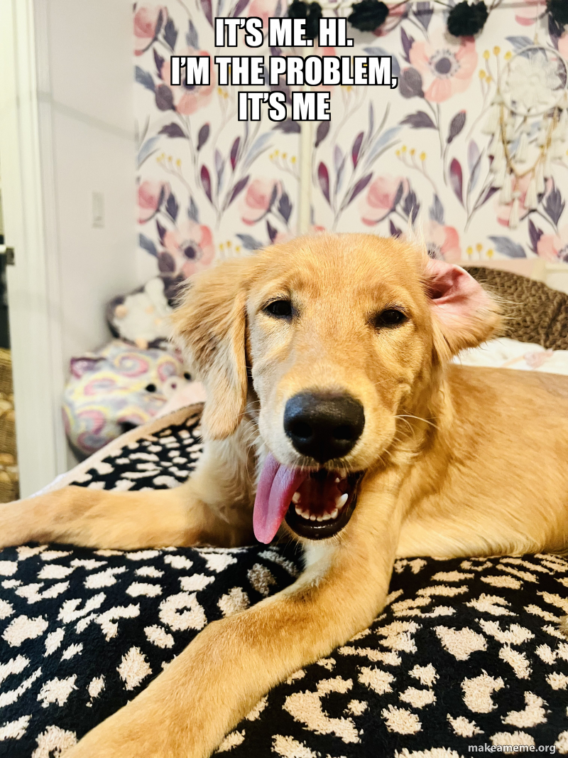 It’s Me. hi. I’m the problem, it’s me Meme Generator