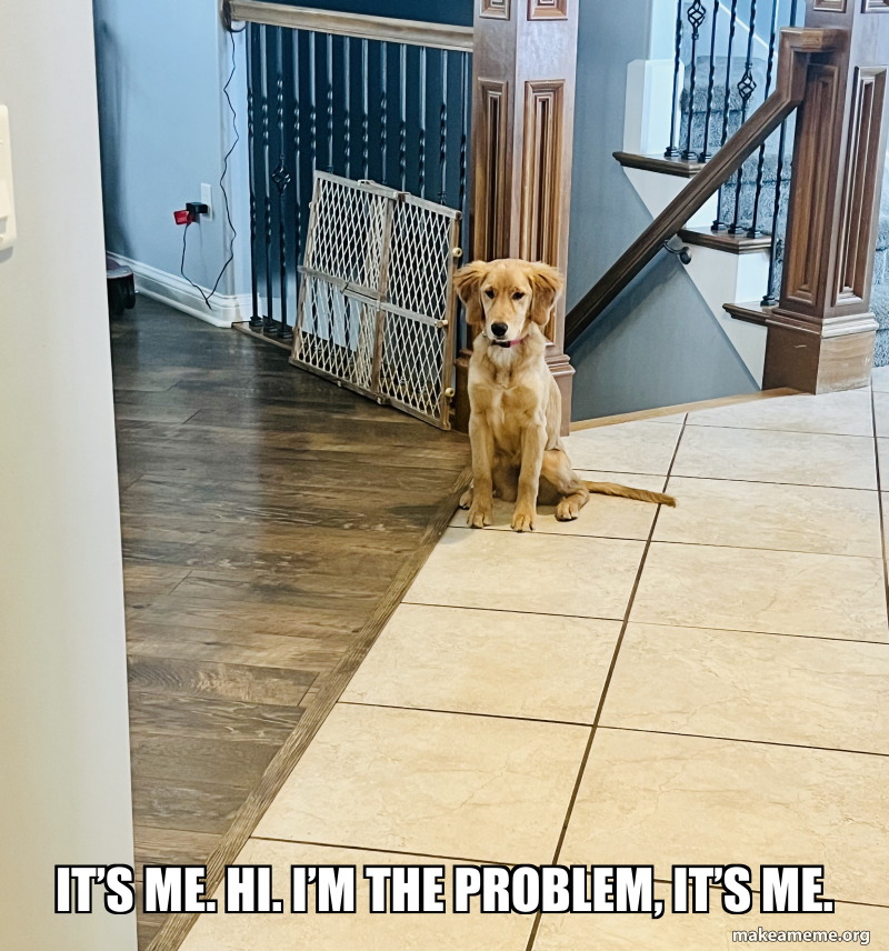 It’s Me. Hi. I’m the problem, It’s me. Meme Generator