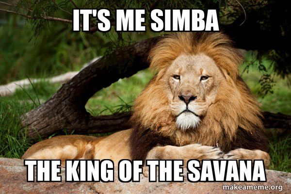 it's me simba the king of the savana - Contemplative Lion Meme Generator