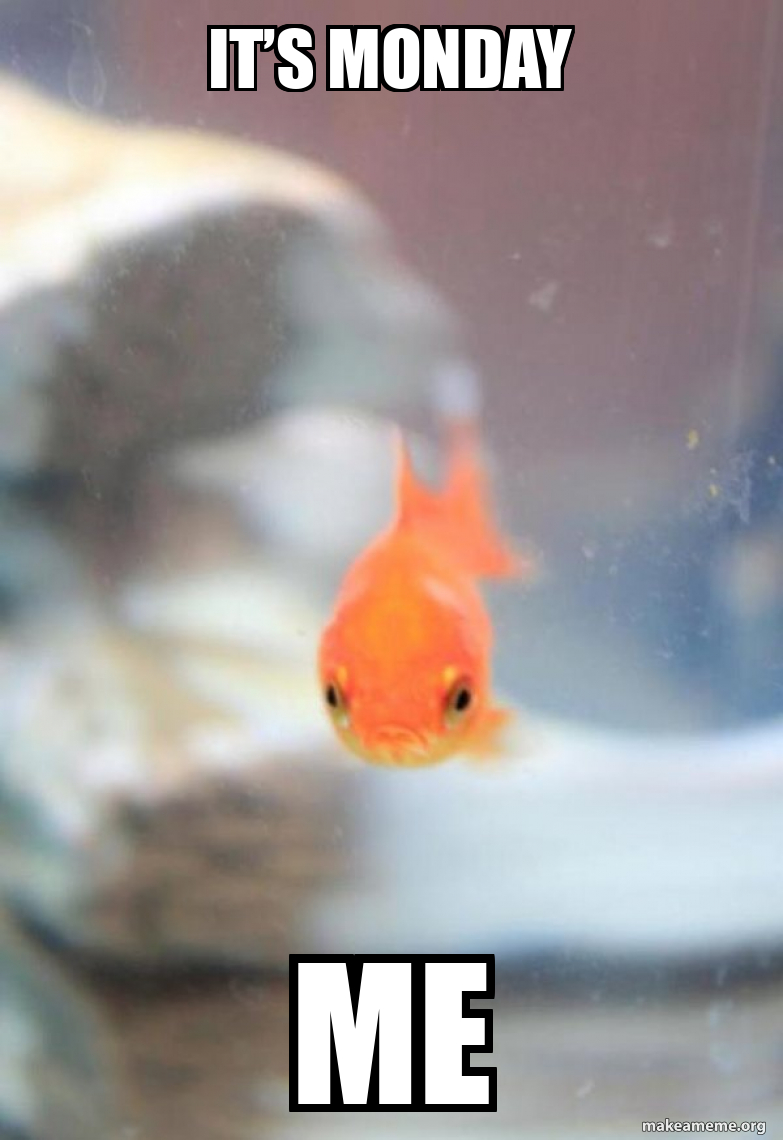 It’s MONDAY Me - Grumpy Fish Meme Generator