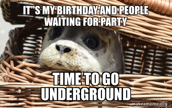 Party Time Dog Meme