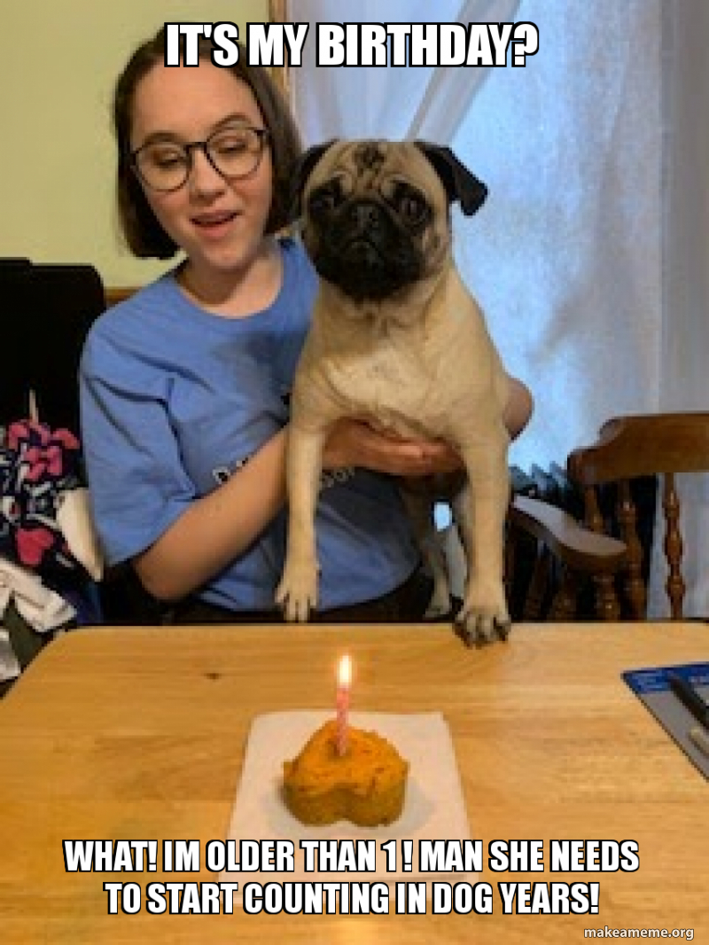 it's my birthday? What! im older than 1 ! Man she needs to start ...